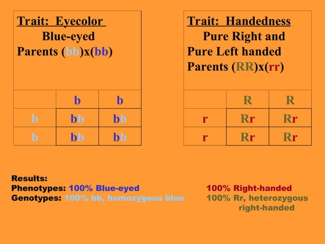 Heredity and Genetics PowerPoint Presentation | PPT