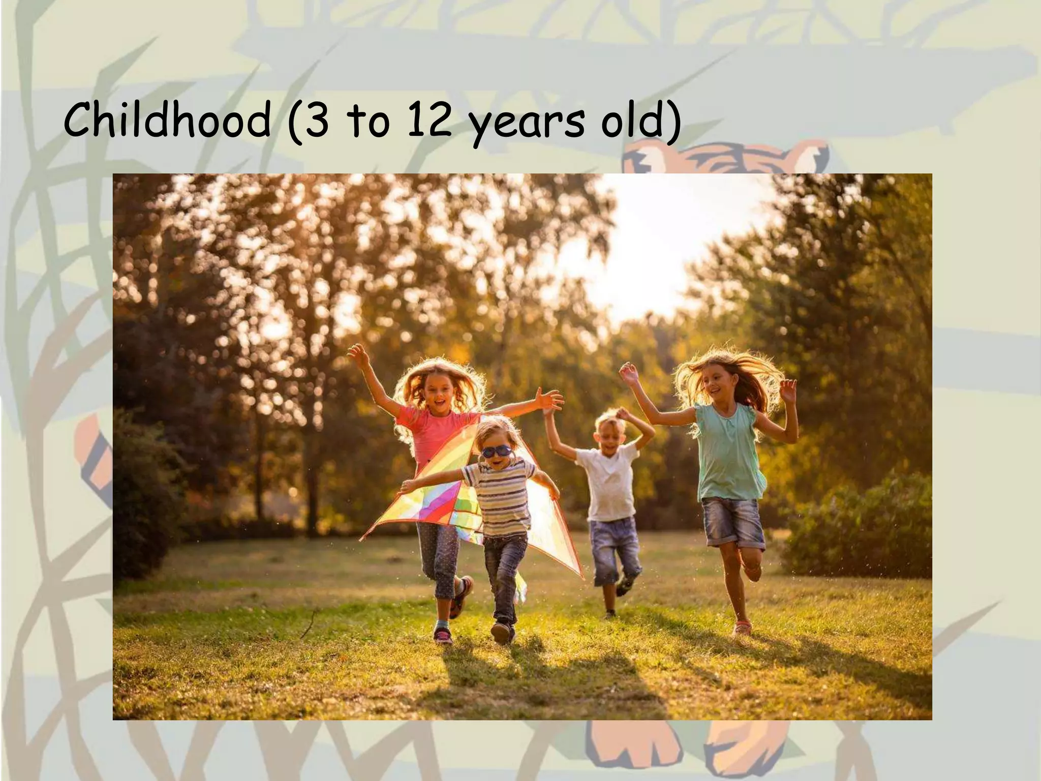 Heredity and Life Cycles.pptx