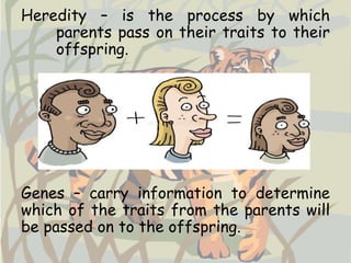 Heredity and Life Cycles.pptx