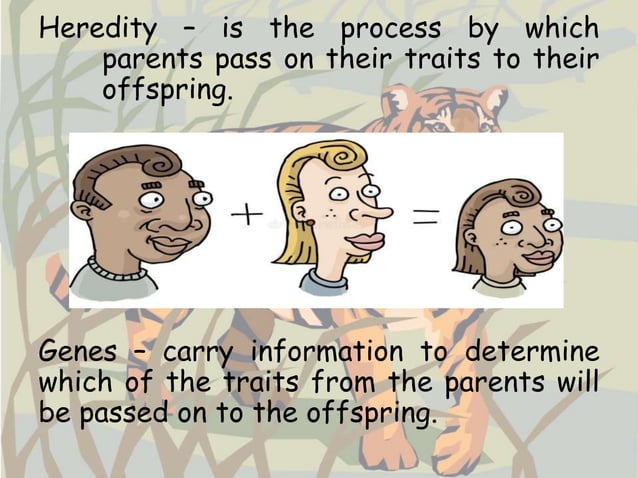 Heredity and Life Cycles.pptx