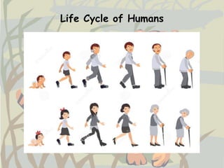 Heredity and Life Cycles.pptx