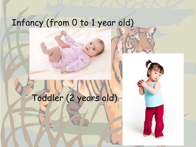 Heredity and Life Cycles.pptx