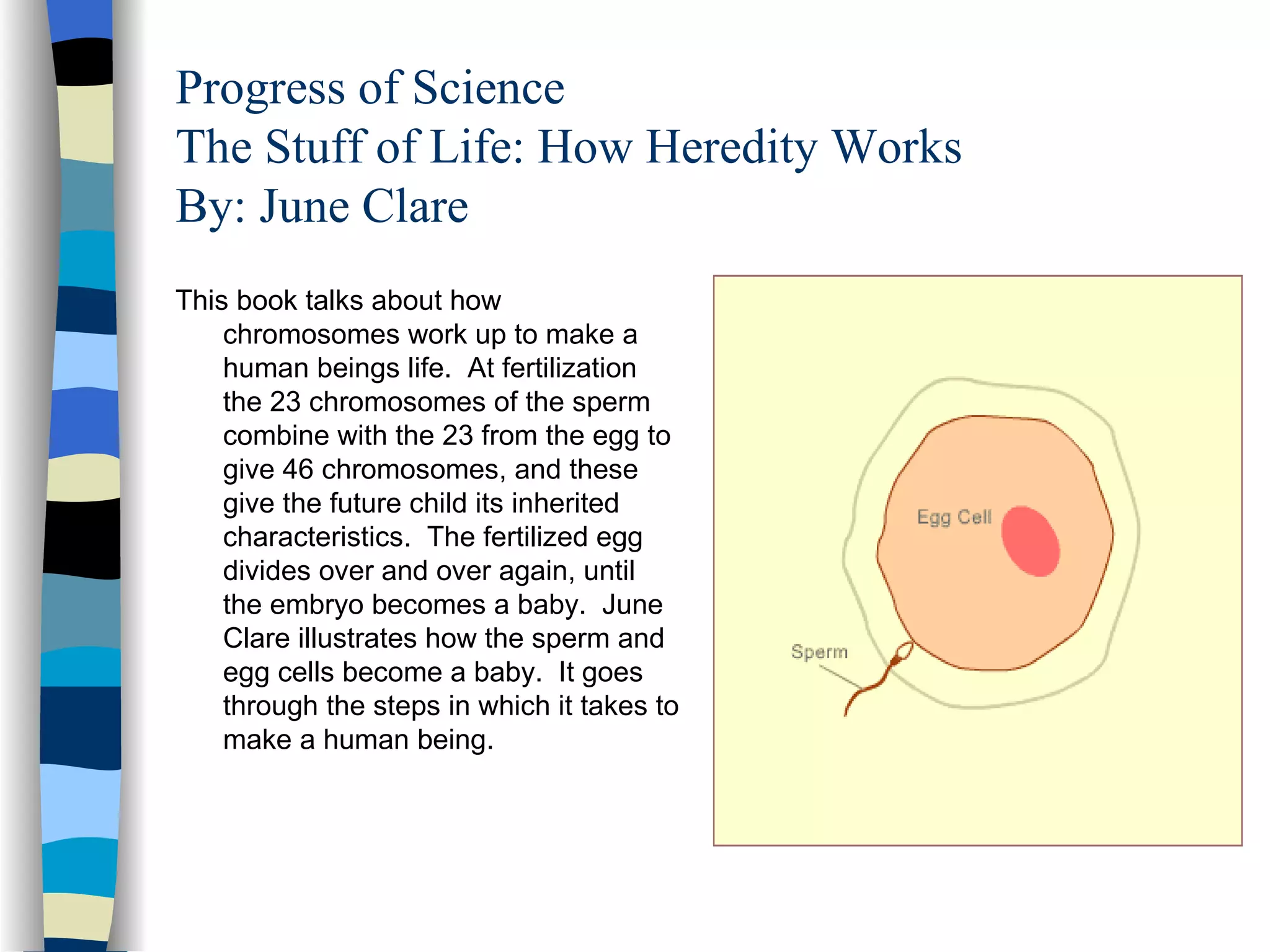 Heredity and traits | PPT