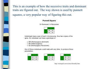 Heredity and traits | PPT