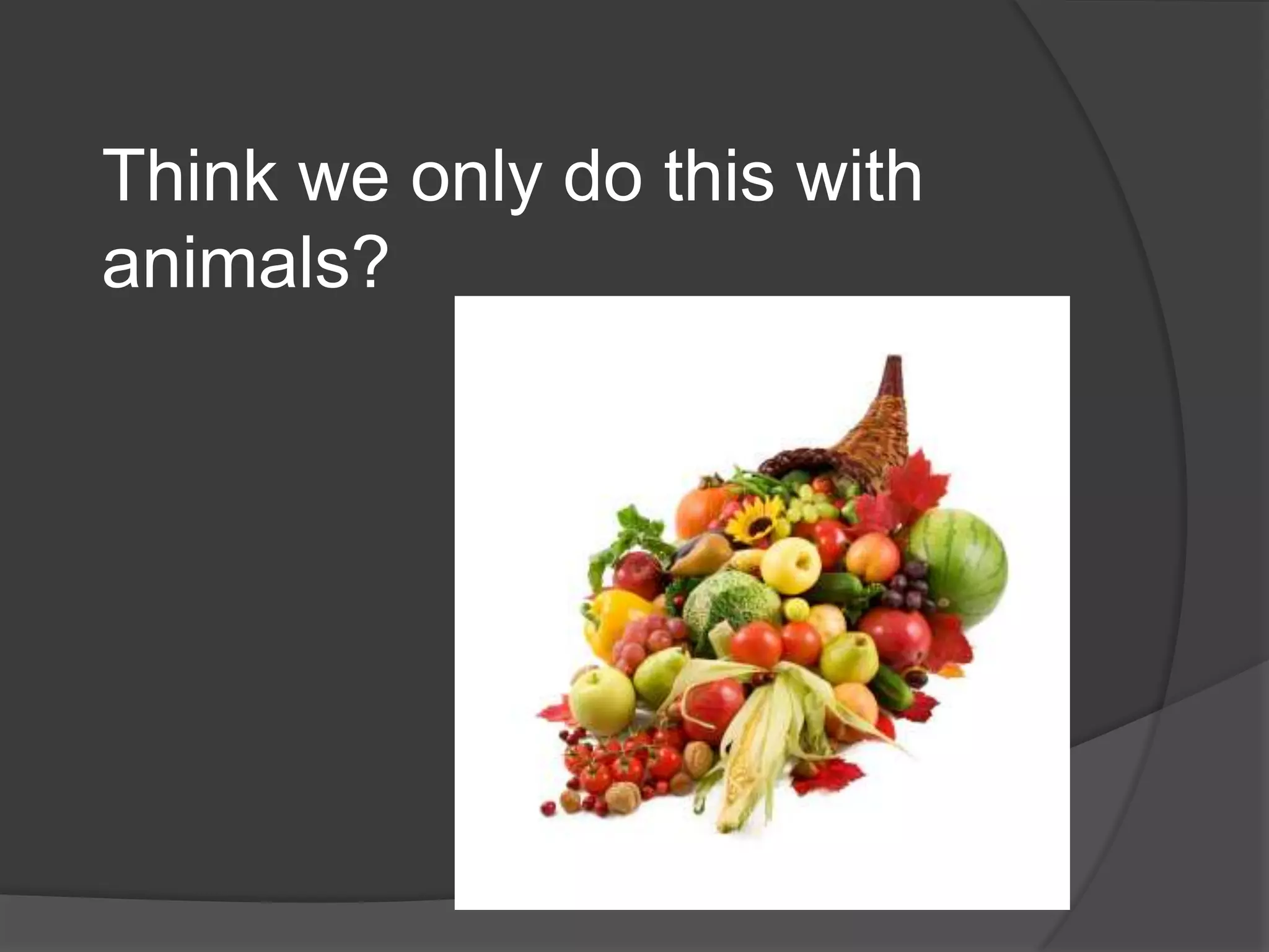 Heredity at work in everyday life | PPTX