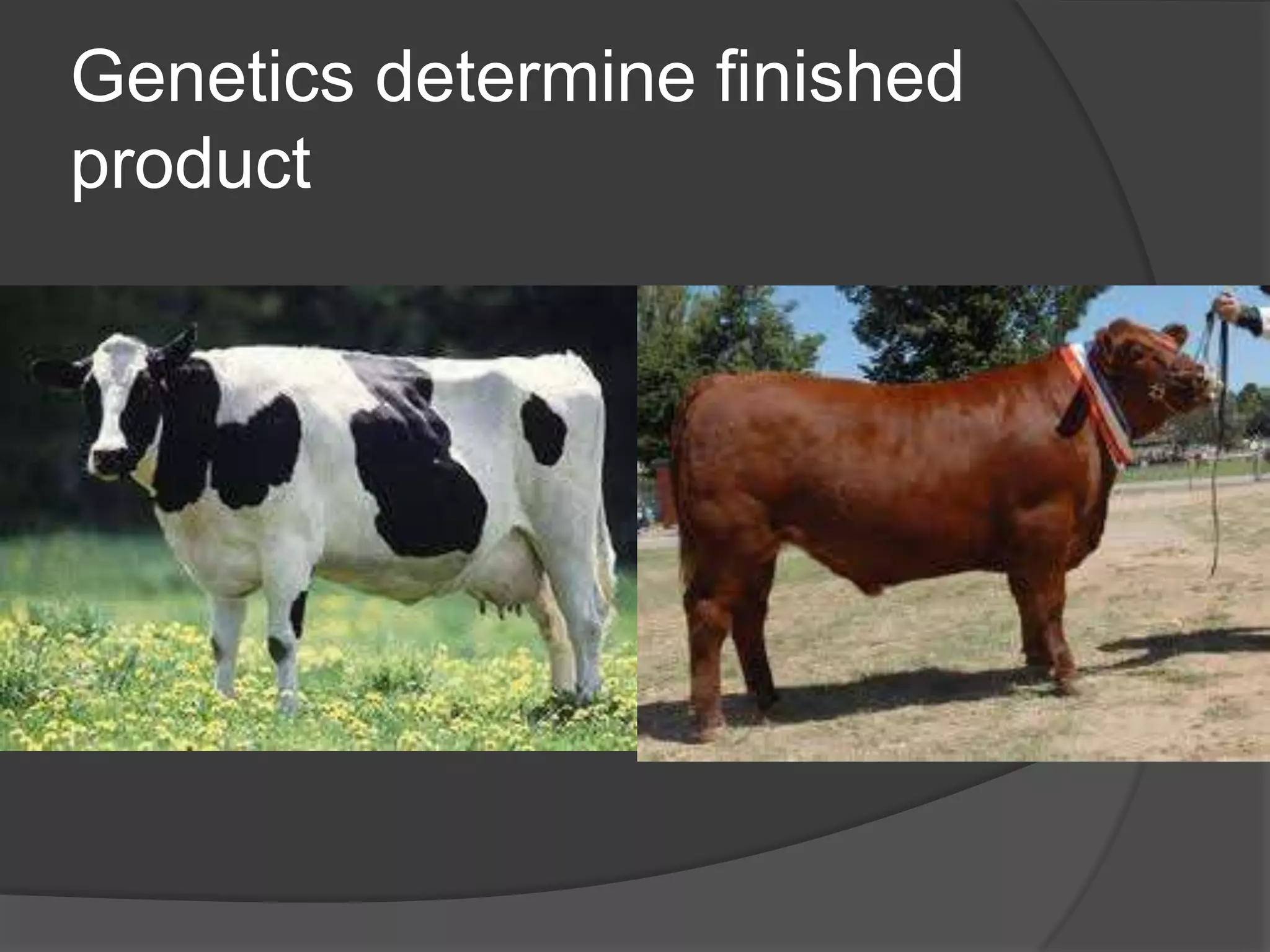 Heredity at work in everyday life | PPT