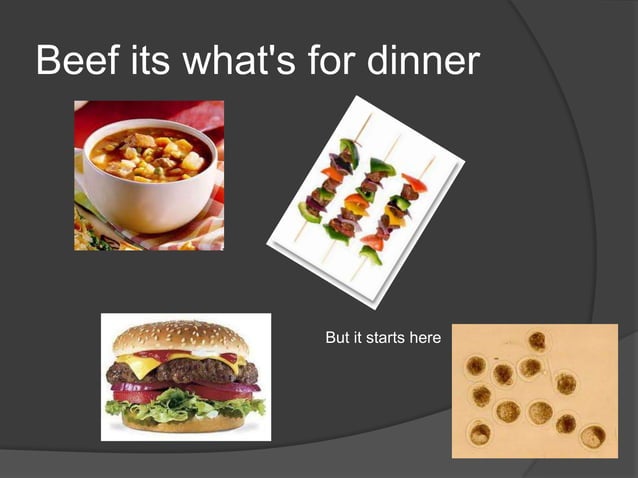 Heredity at work in everyday life | PPTX