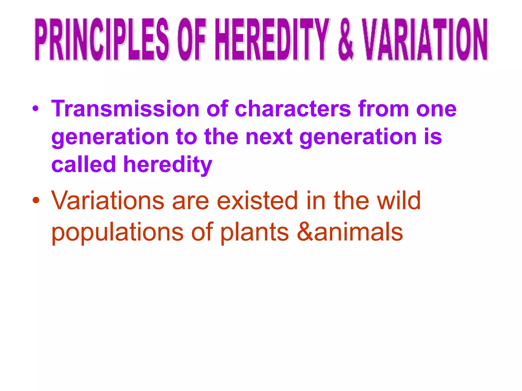 heredity class 10.pptx