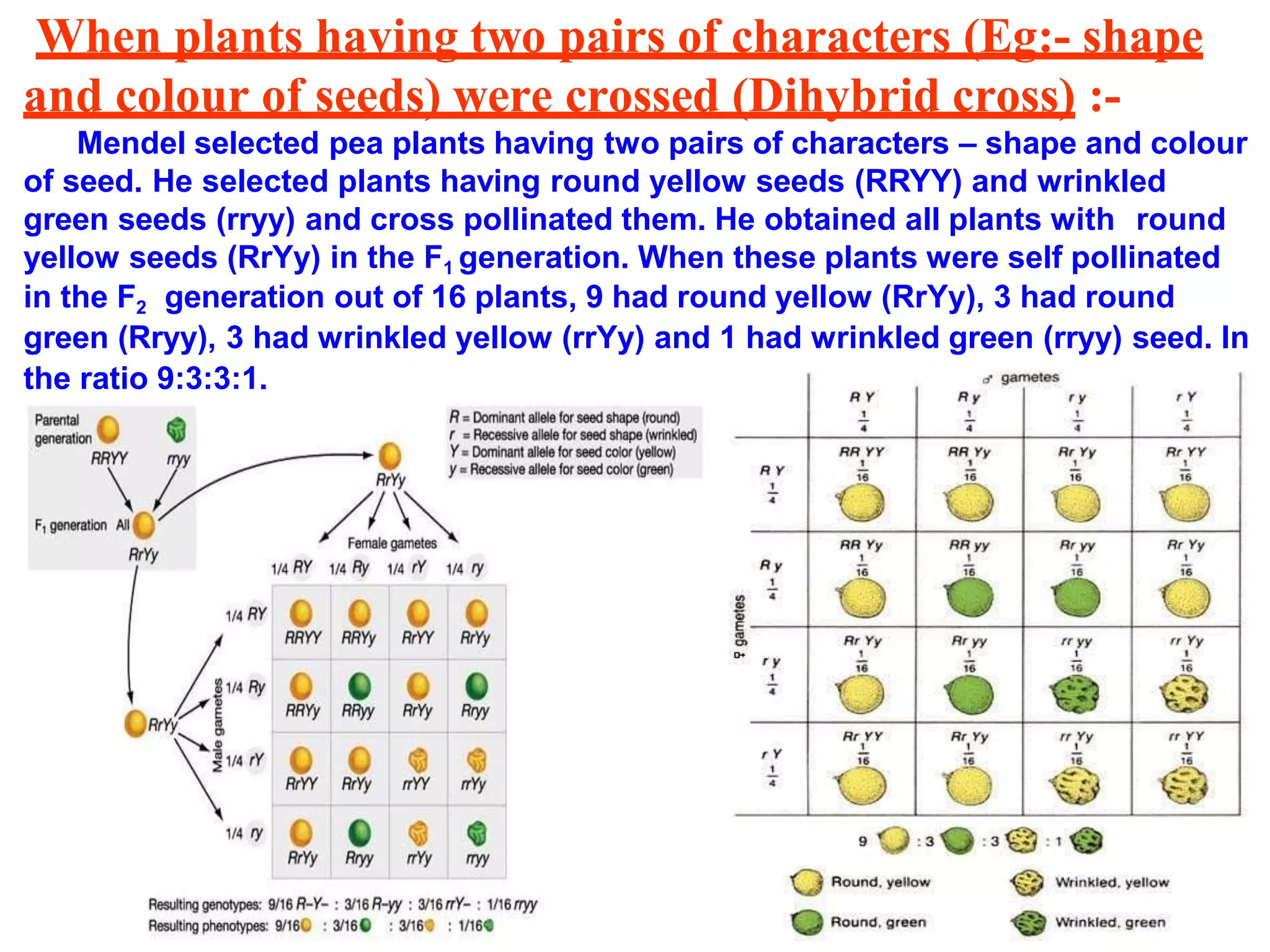 heredity class 10.pptx