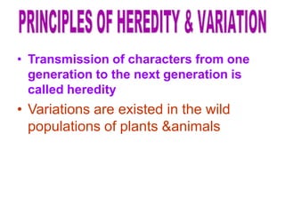 heredity class 10.pptx