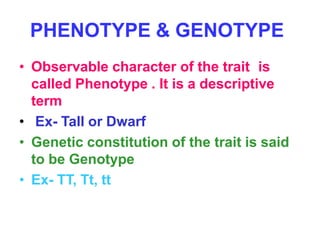 heredity class 10.pptx
