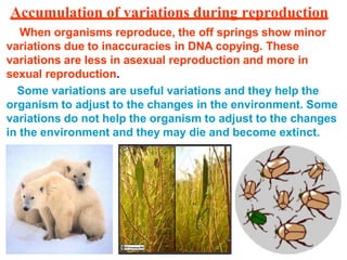 heredity class 10.pptx