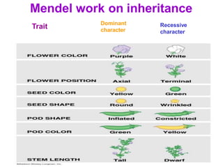 heredity class 10.pptx