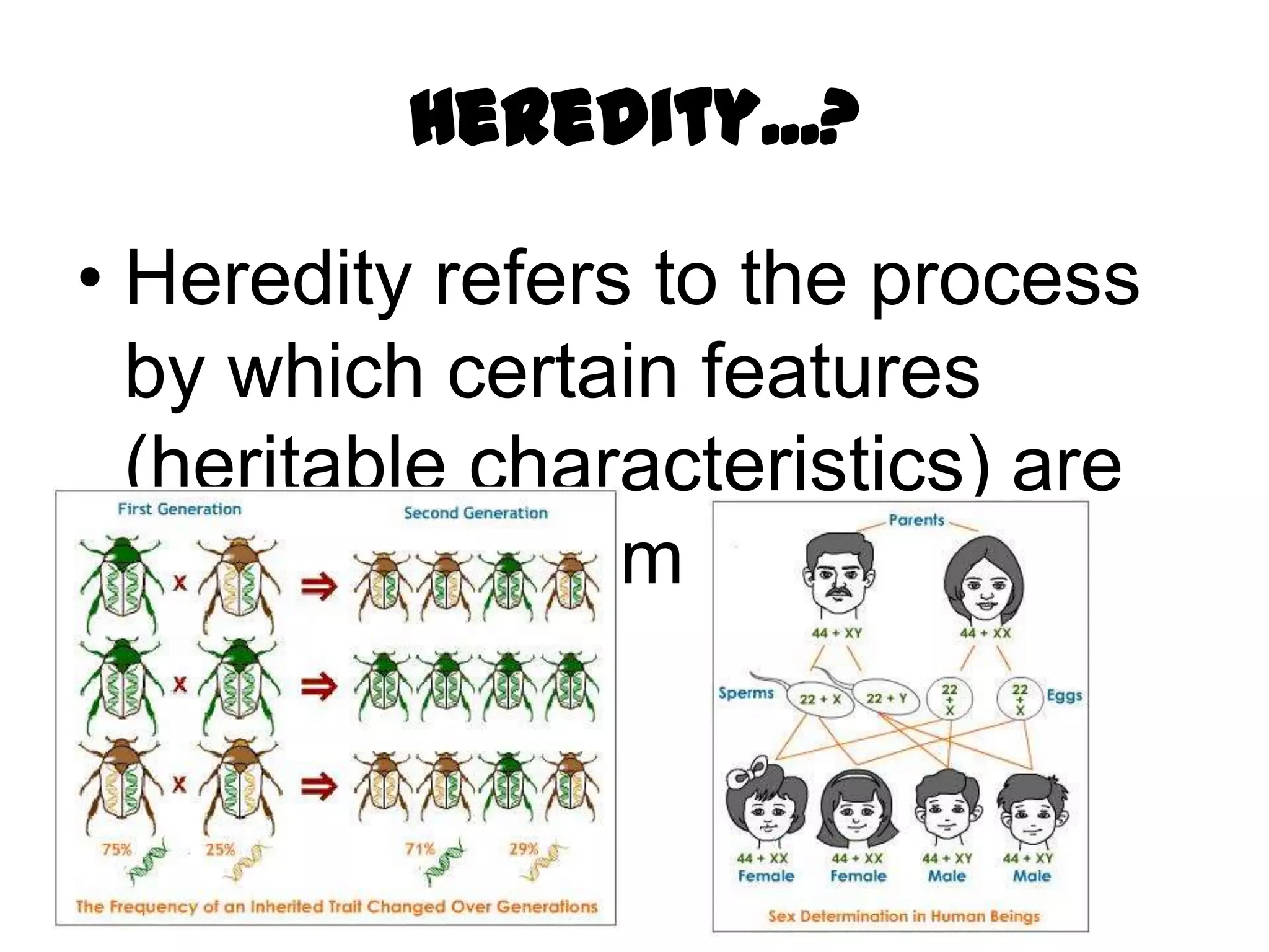 Heredity & evolution | PPTX
