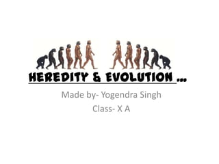 Heredity & evolution | PPTX