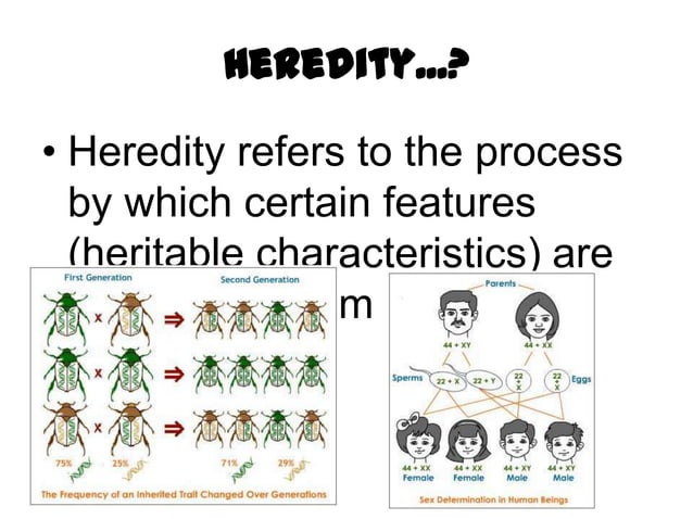 Heredity & evolution | PPTX