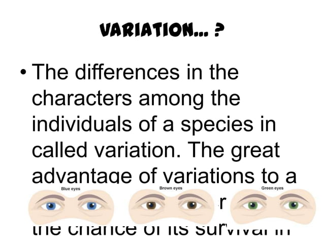 Heredity & evolution | PPTX