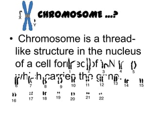 Heredity & evolution | PPTX