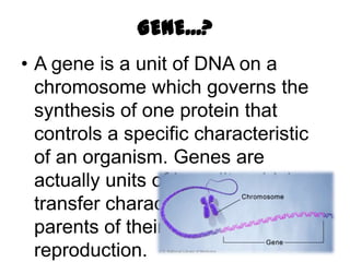 Heredity & evolution | PPTX