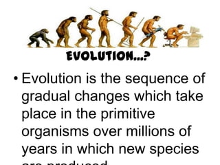 Heredity & evolution | PPTX