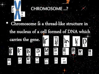 Heredityevolution | PPTX | Genetics | Science