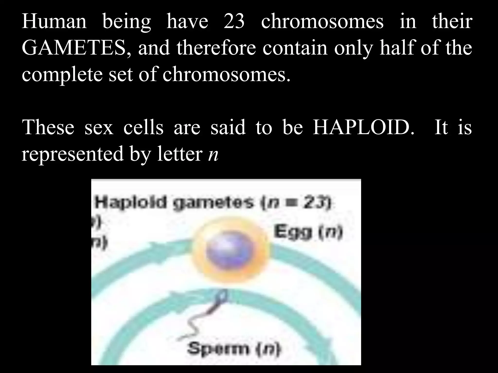 Heredity Inheritance And Variation Pptx Biological Sciences Science