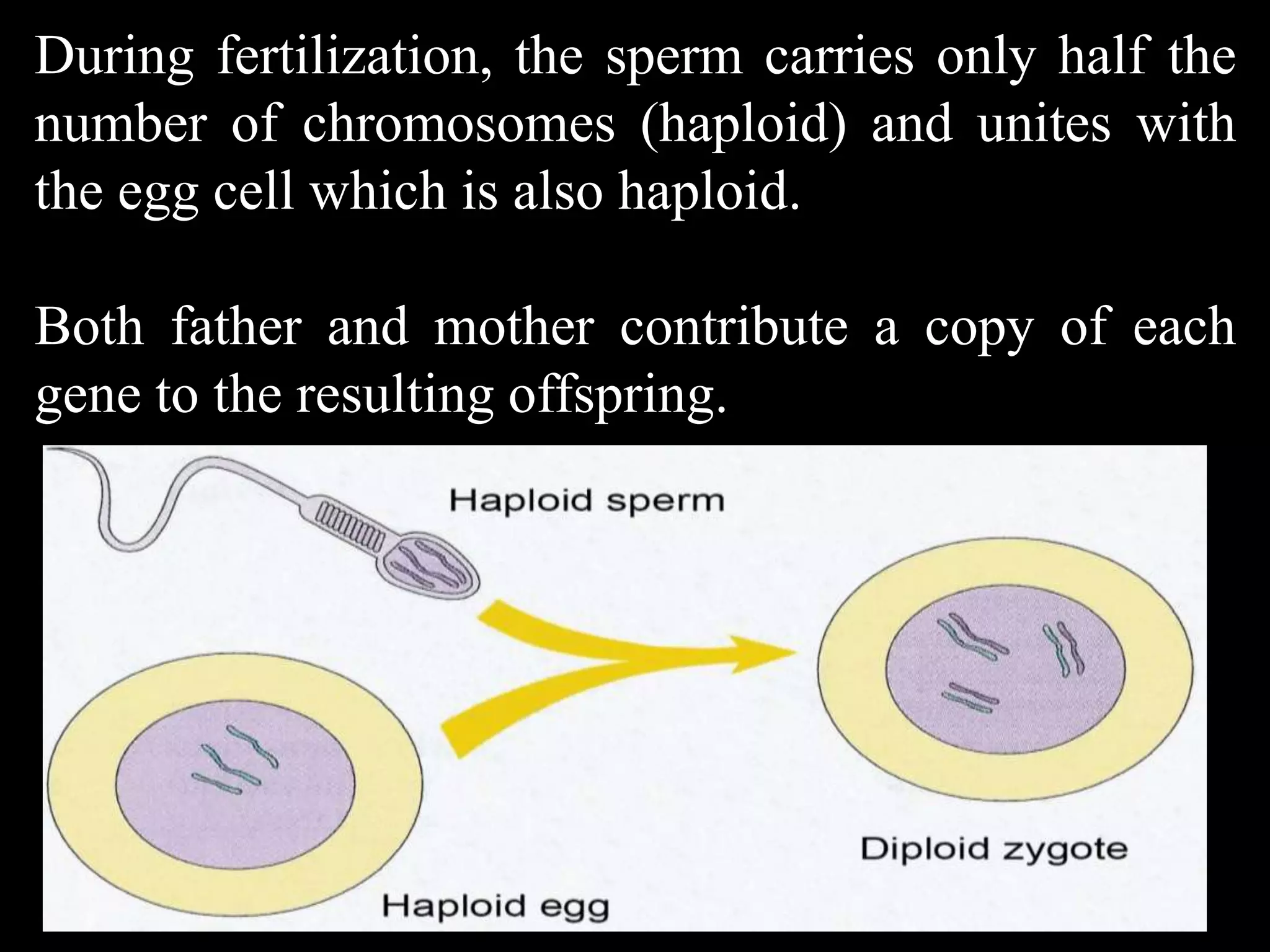 Heredity, inheritance, and variation | PPTX | Biological Sciences | Science