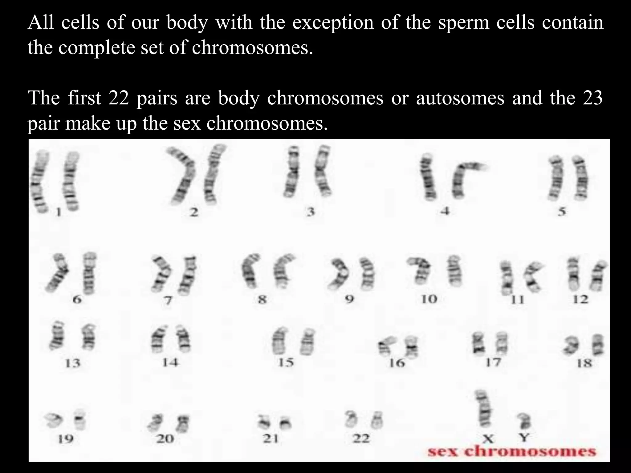 Heredity Inheritance And Variation Pptx Biological Sciences Science