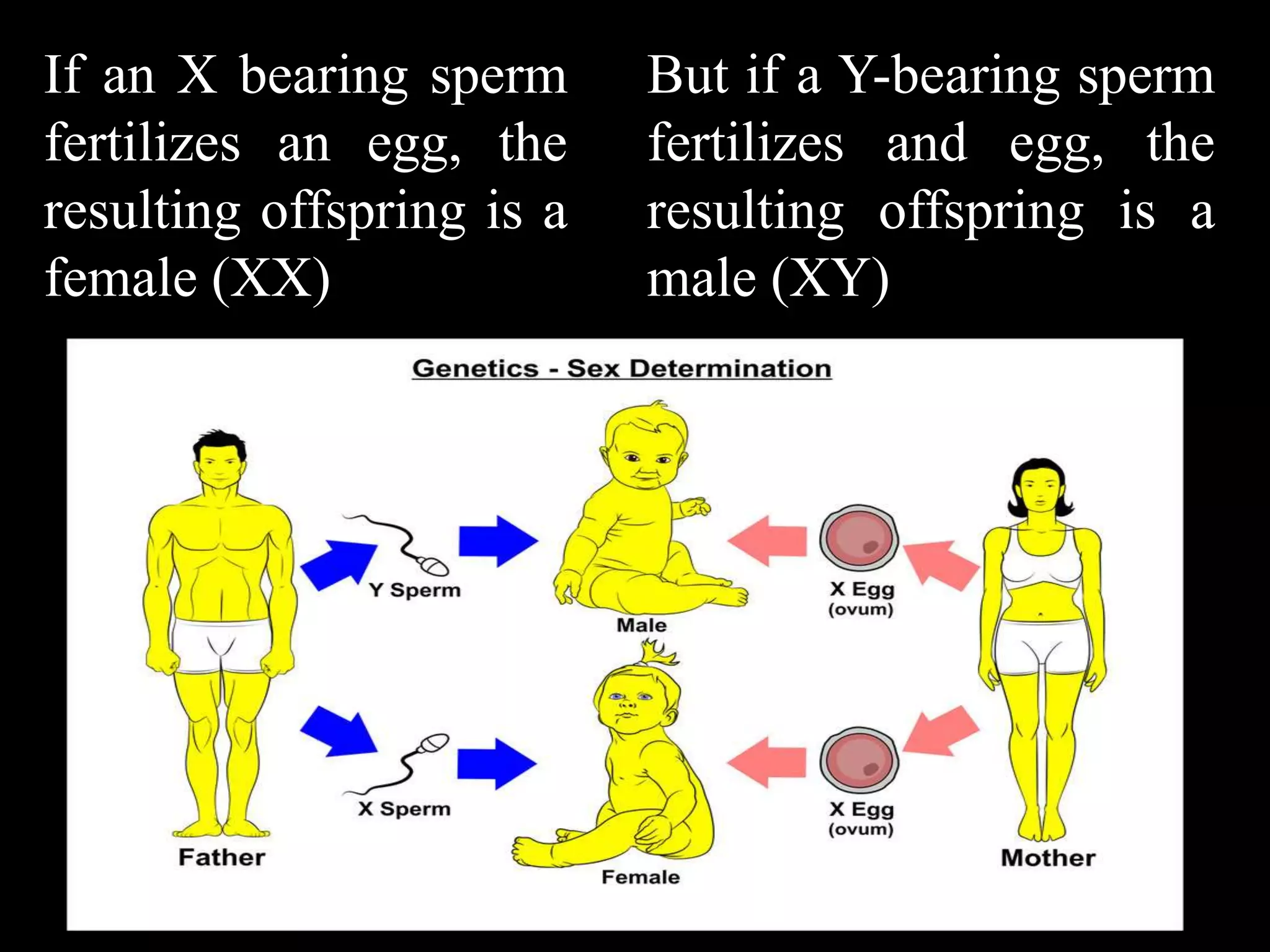 Heredity, inheritance, and variation | PPTX | Biological Sciences | Science