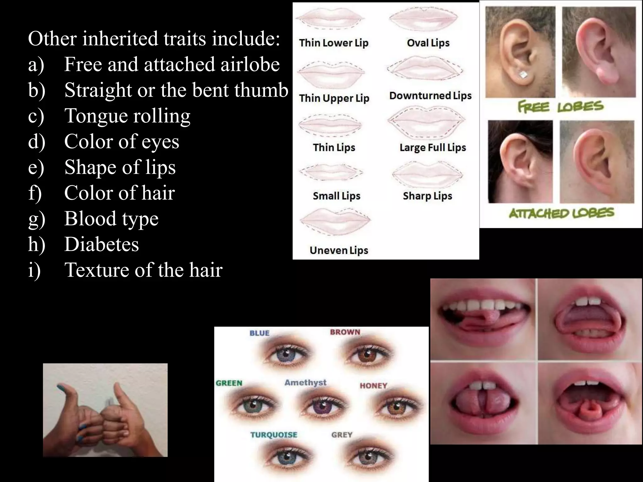 Heredity, inheritance, and variation | PPTX | Biological Sciences | Science