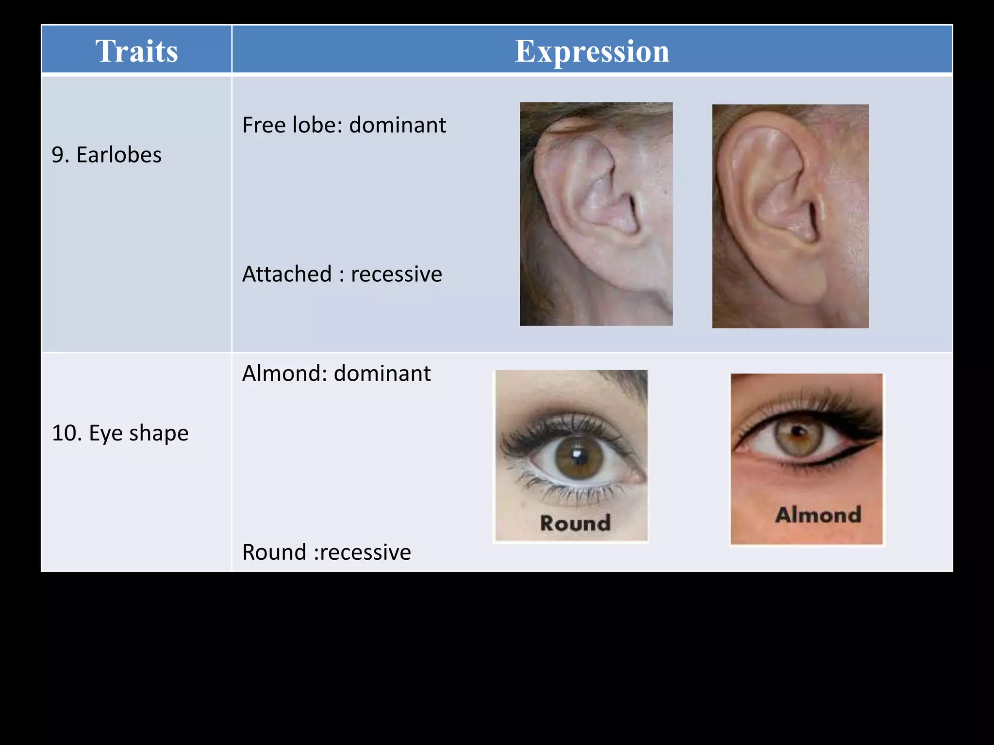 Heredity, inheritance, and variation | PPTX | Biological Sciences | Science