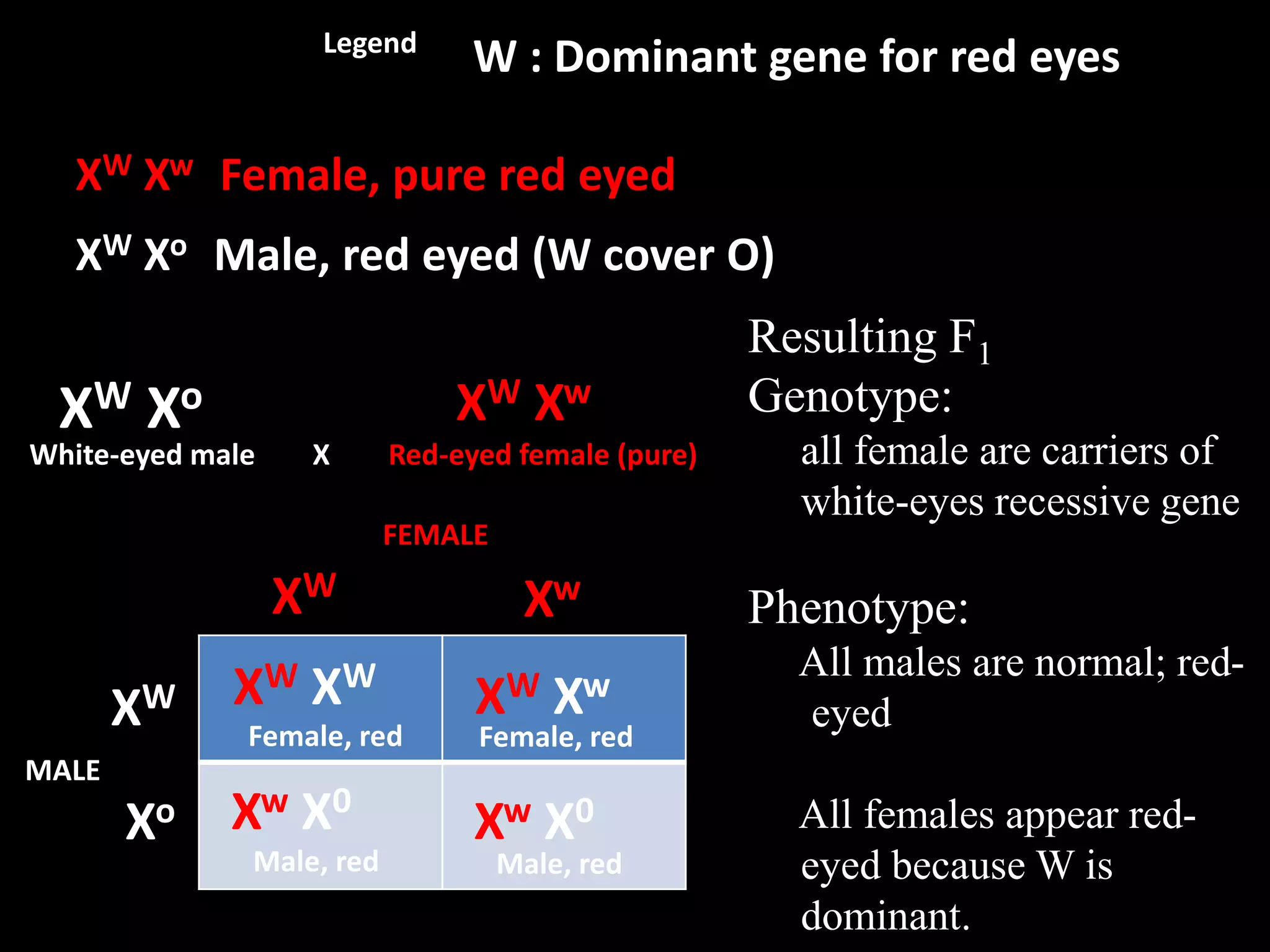 Heredity, inheritance, and variation | PPTX