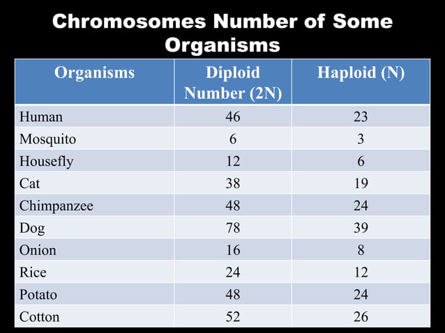 Heredity, inheritance, and variation | PPTX | Biological Sciences | Science