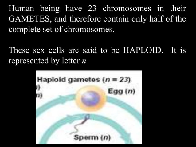 Heredity, inheritance, and variation | PPTX | Biological Sciences | Science