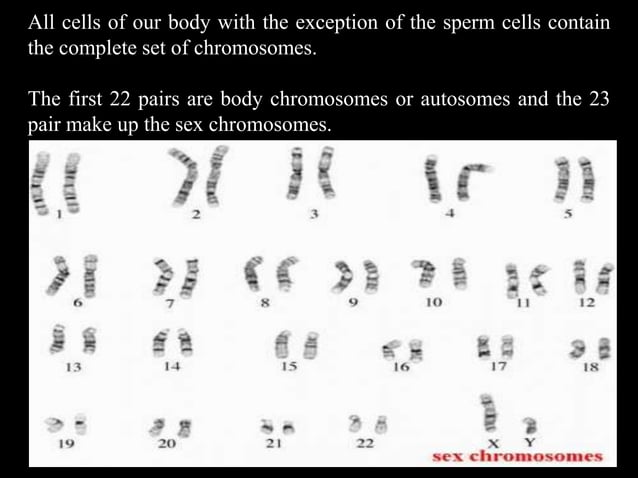 Heredity, inheritance, and variation | PPTX | Biological Sciences | Science