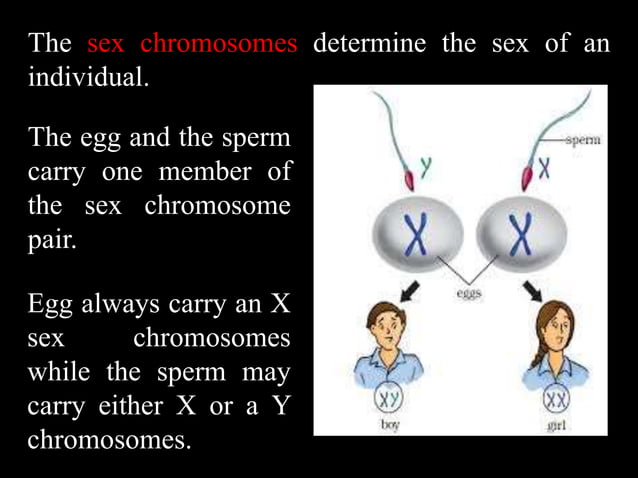 Heredity, inheritance, and variation | PPTX | Biological Sciences | Science