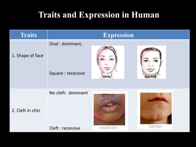Heredity, inheritance, and variation | PPTX | Biological Sciences | Science