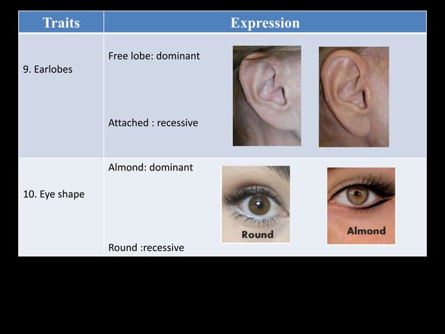 Heredity, inheritance, and variation | PPTX | Biological Sciences | Science