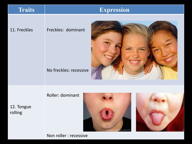 Heredity, inheritance, and variation | PPTX | Biological Sciences | Science