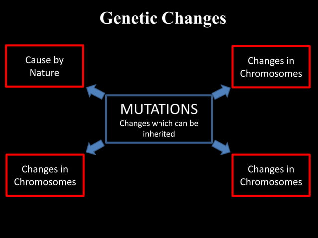 Heredity, inheritance, and variation | PPTX | Biological Sciences | Science