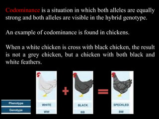 Heredity, inheritance, and variation | PPTX