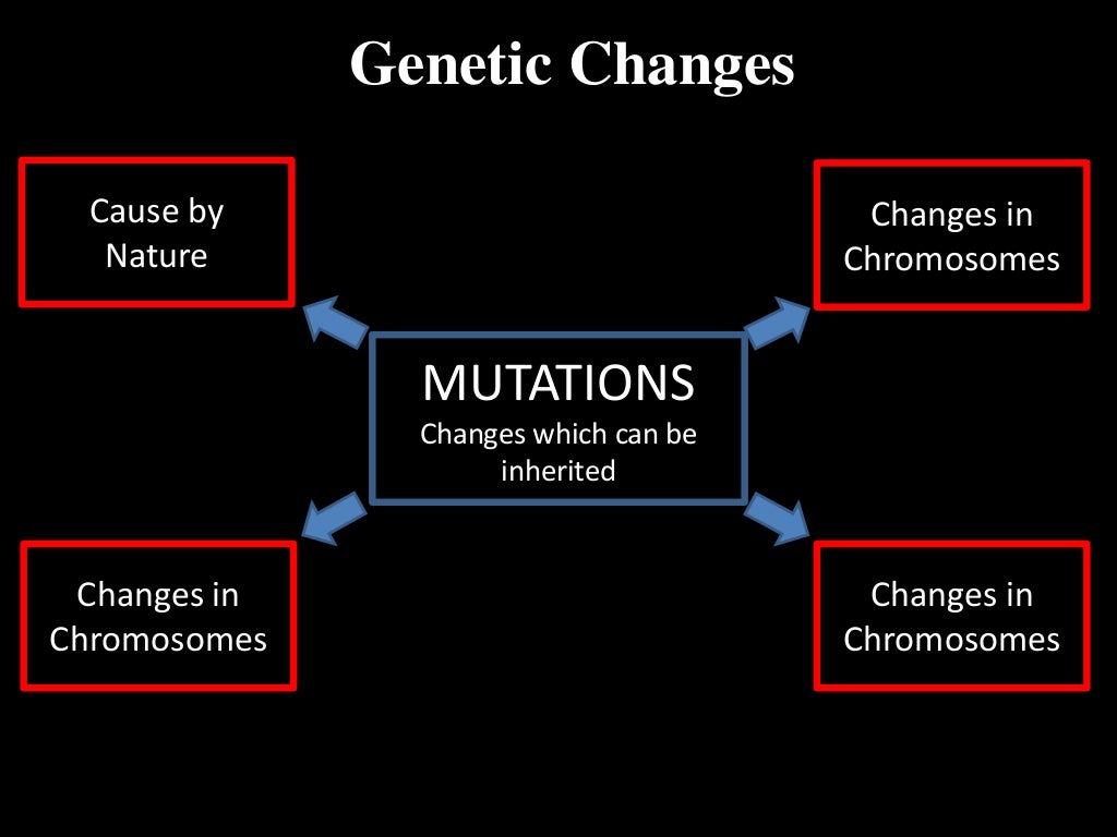Heredity Inheritance And Variation