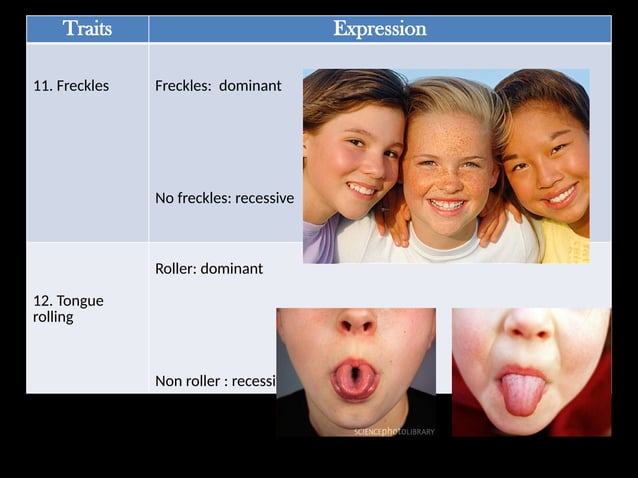 heredityinheritanceandvariation.pptxxxxxxxxxx | PPT