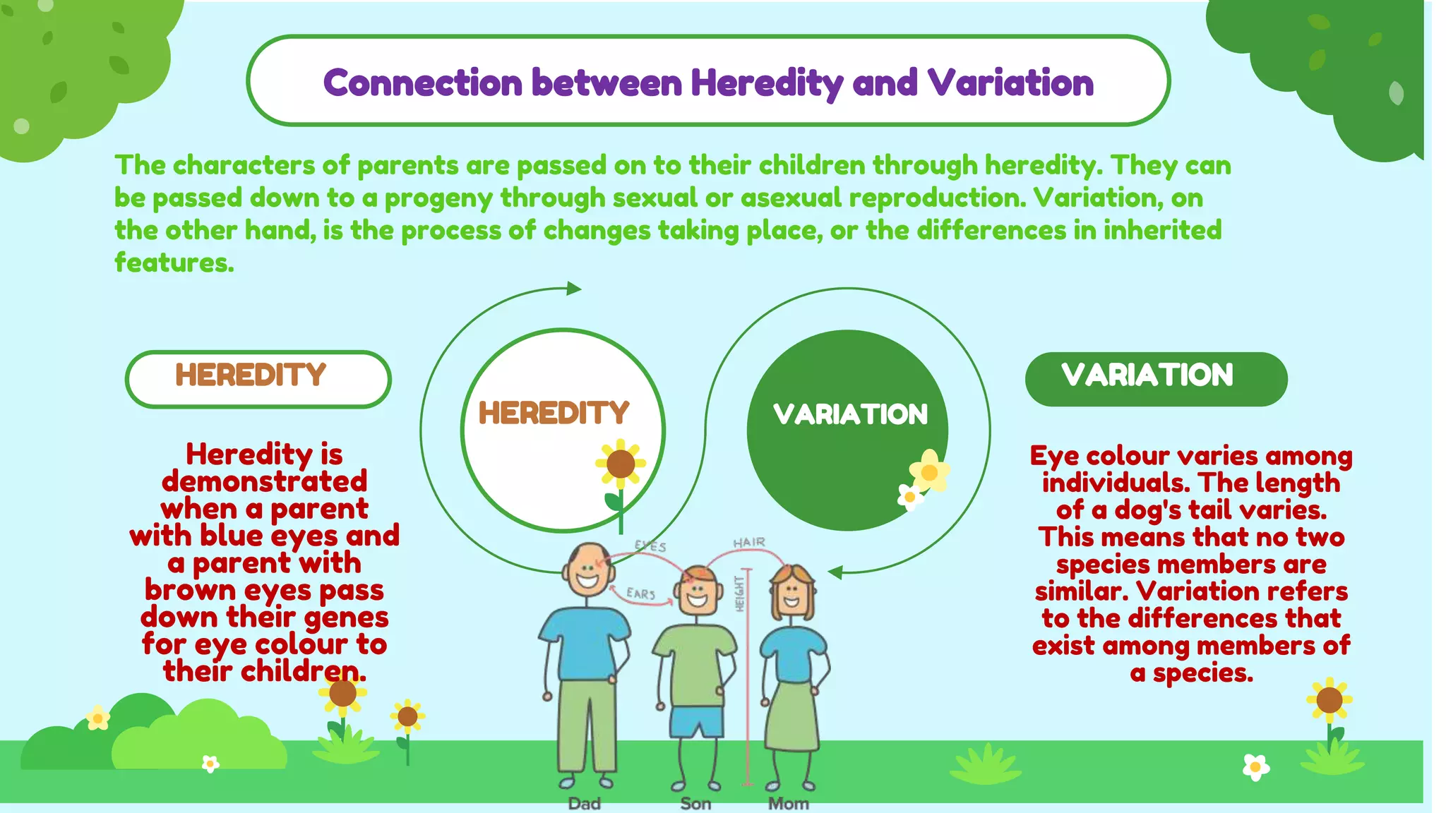 Heredity and Variation | PPTX