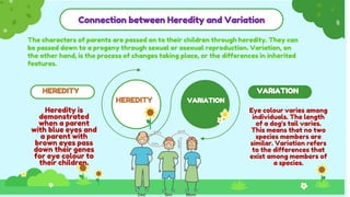 Heredity and Variation | PPTX
