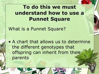 Heredity,Punnett Squares, & Probability Power Point Presentation | PPT
