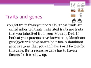 Heredity reflection | PPTX