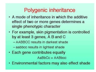 Heredit yscience ch5 | PPTX | Genetics | Science