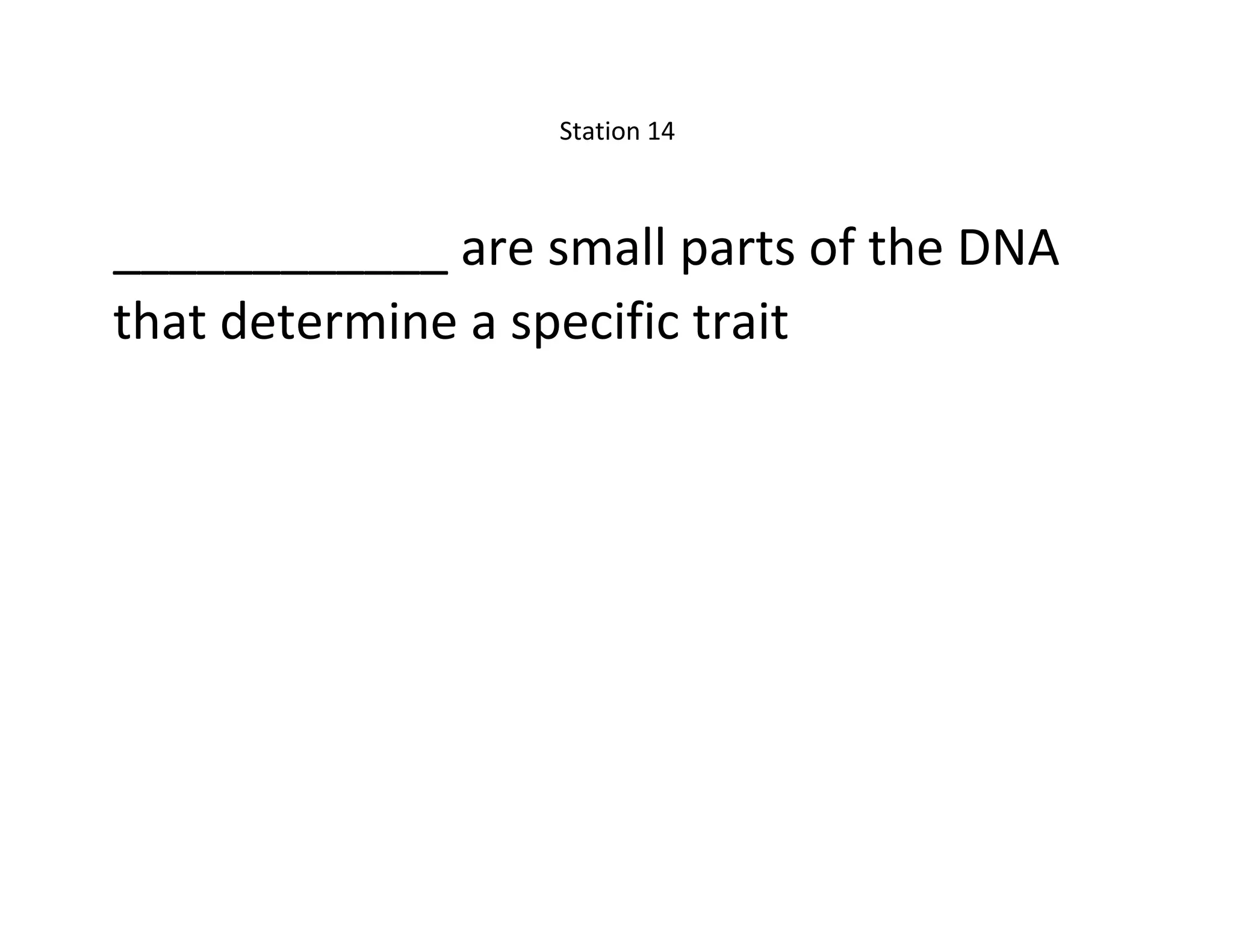 Heredity Stations Review | PPT