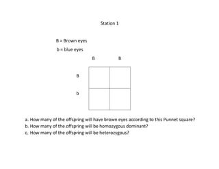 Heredity Stations Review | PPT